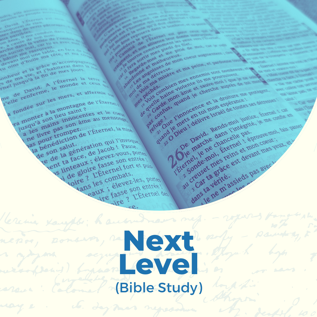 Next Level U Virtual Group